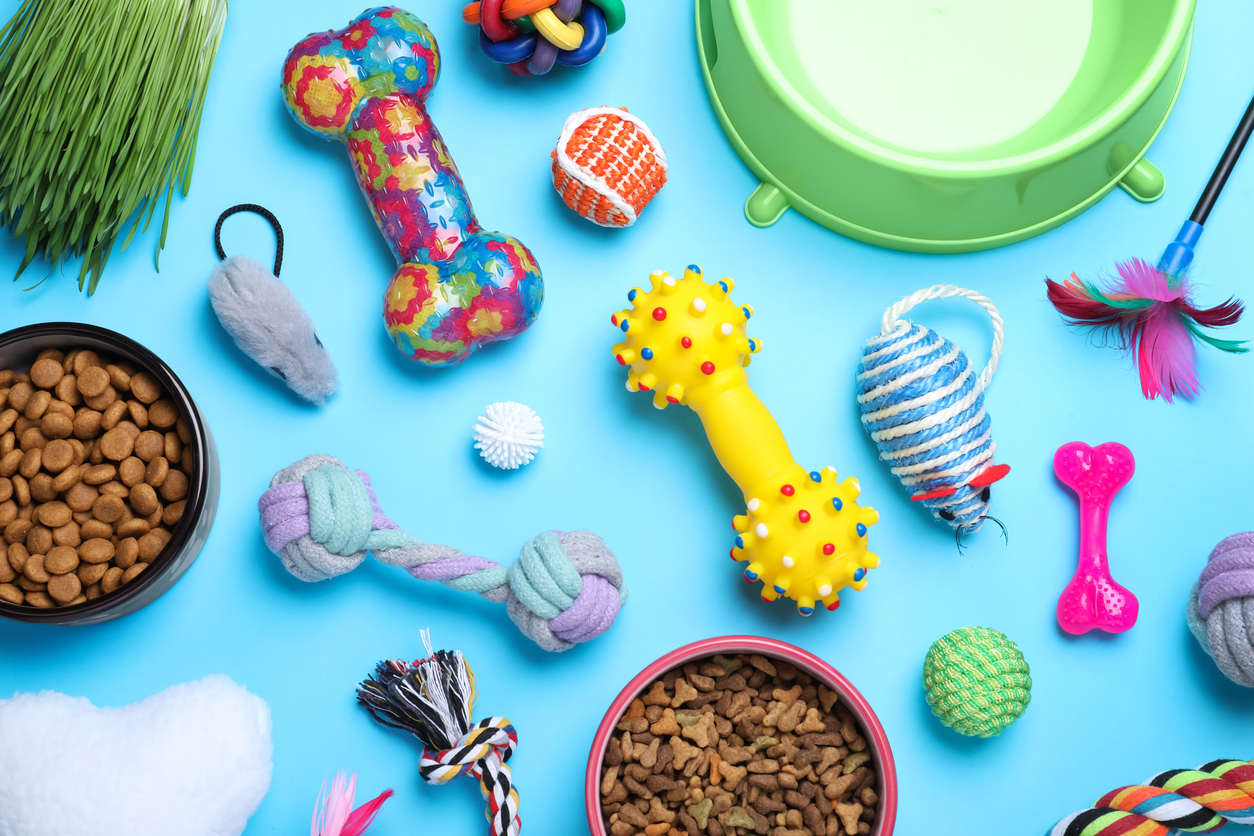 Navigating the Booming Pet Market with Streamlined Logistics for Pet ...
